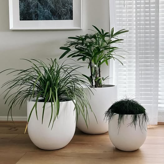 Our Pot Range – The Pot Place