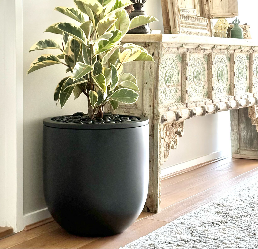 Our Entire Range – The Pot Place